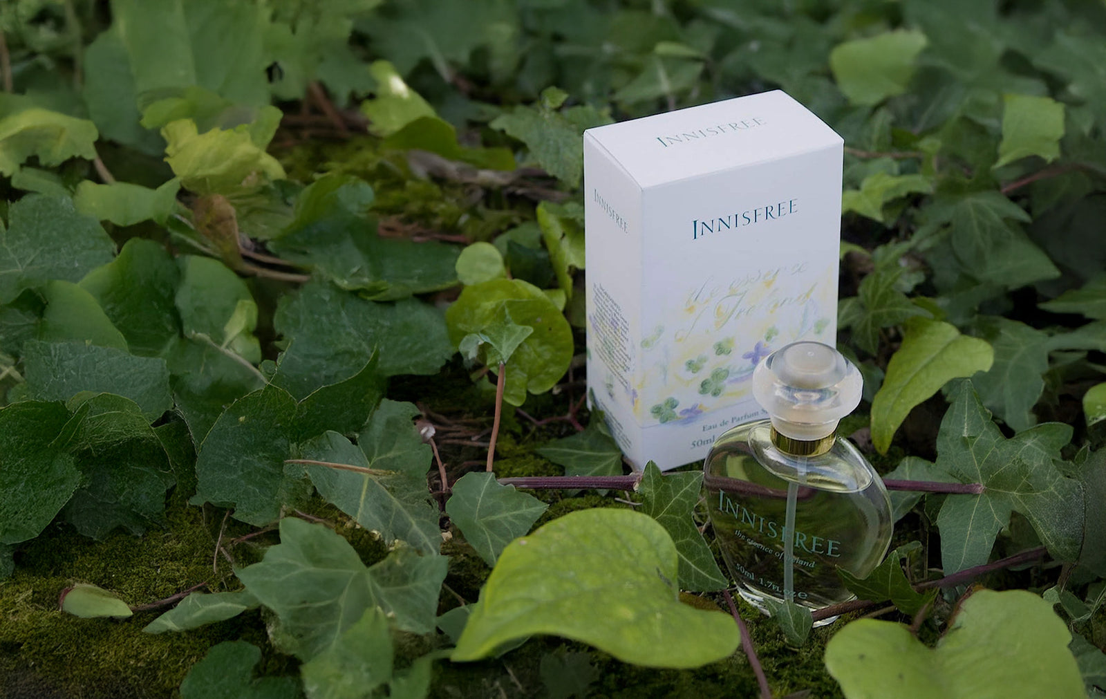 Innisfree Eau de Parfum 50ml/1.7 fl. oz. | In Stock & Ships Fast – Real ...