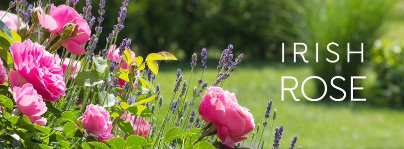 Irish Rose Eau de Parfum 50ml/1.7 fl. oz. | Real Irish